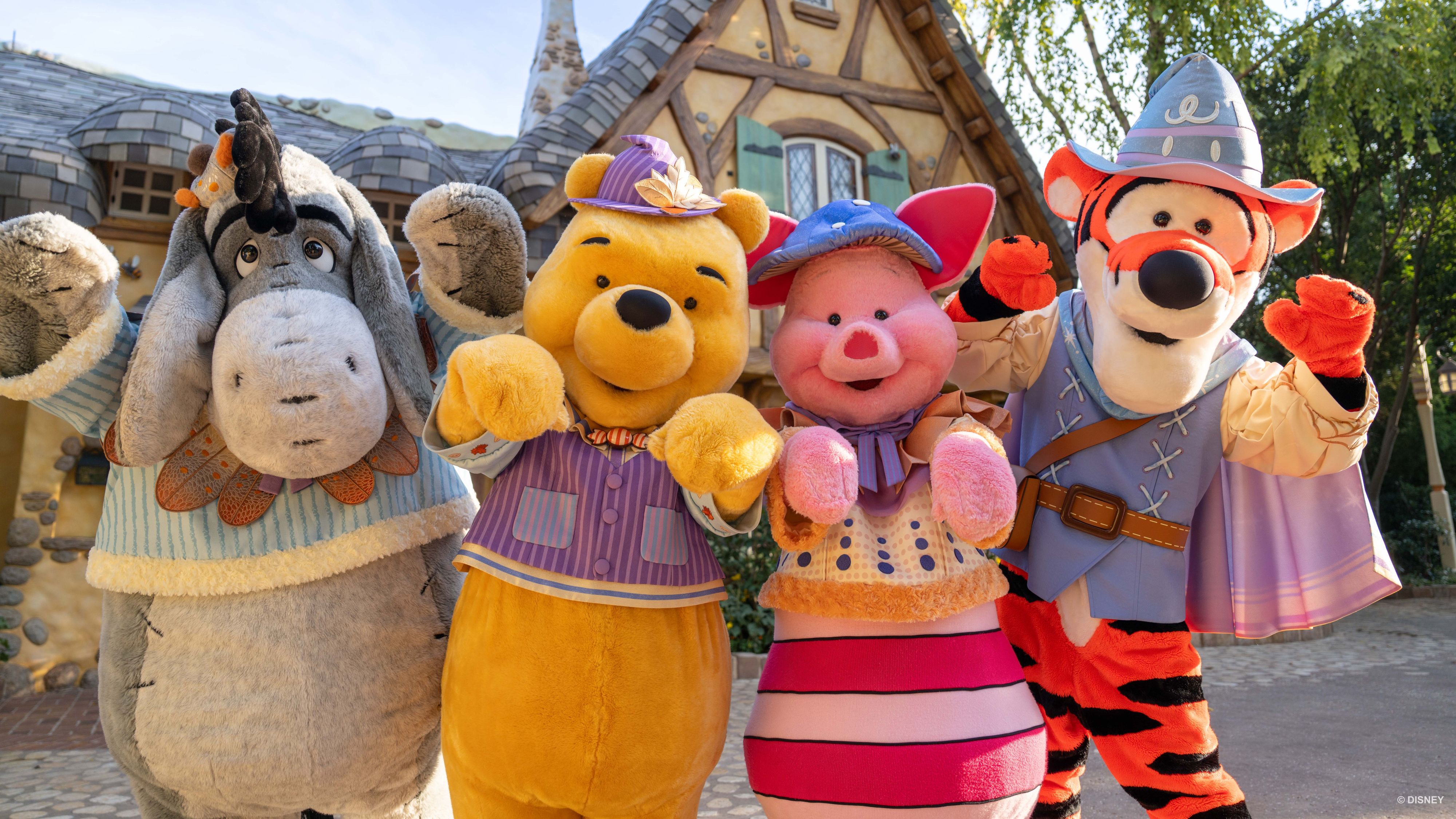 Meet a friend from the Hundred Acre Wood
